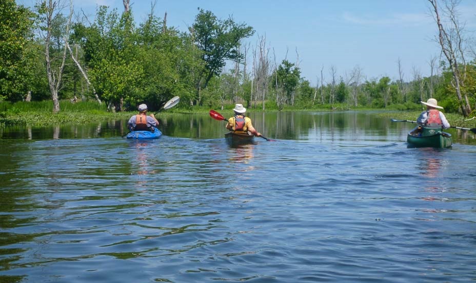 Paddle the Great Swamp Obstacle Course – Mid-Hudson Adirondack Mountain ...